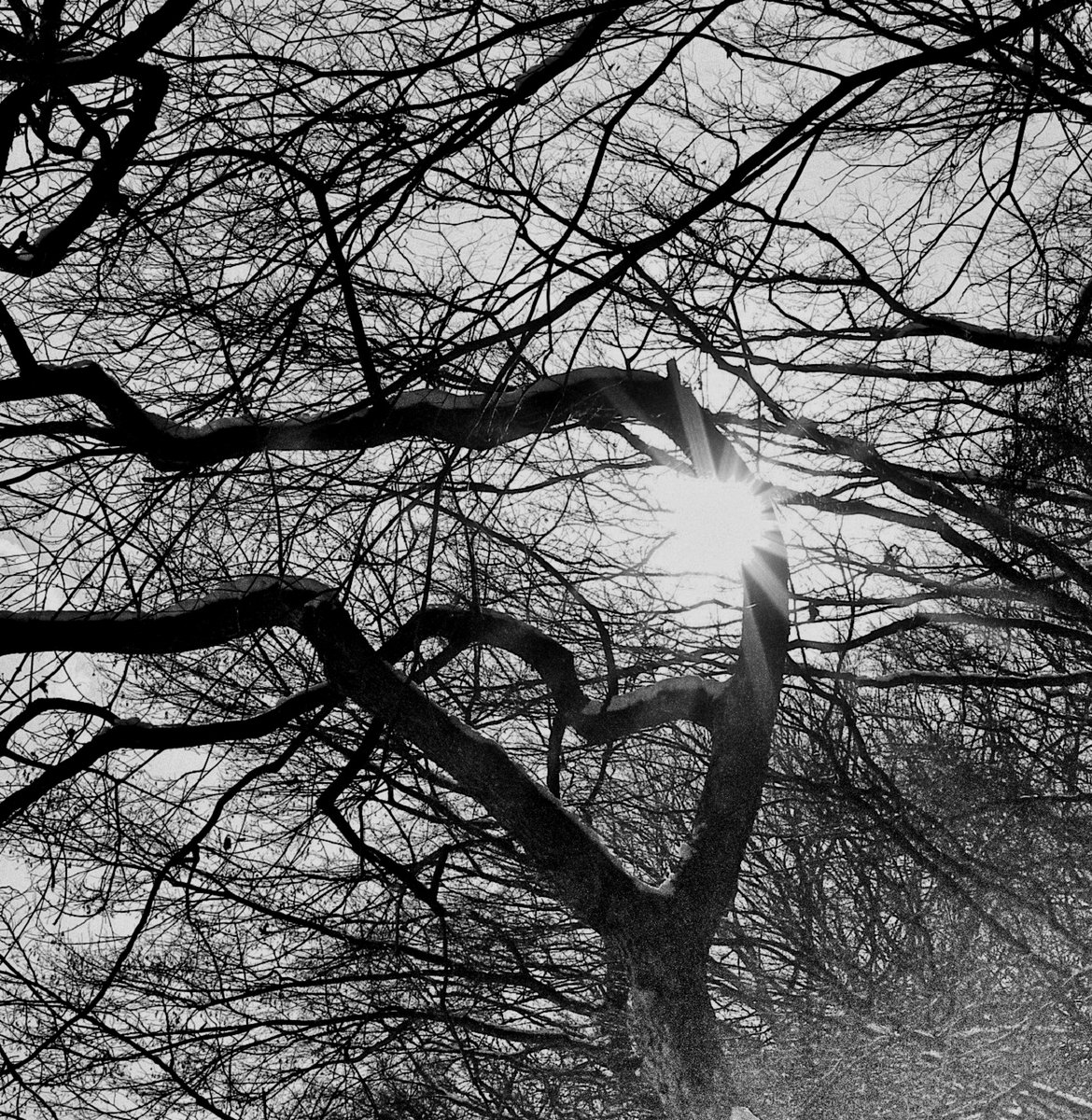 Corrupted - Pray for the Hollow Sun - HeavyPop.at