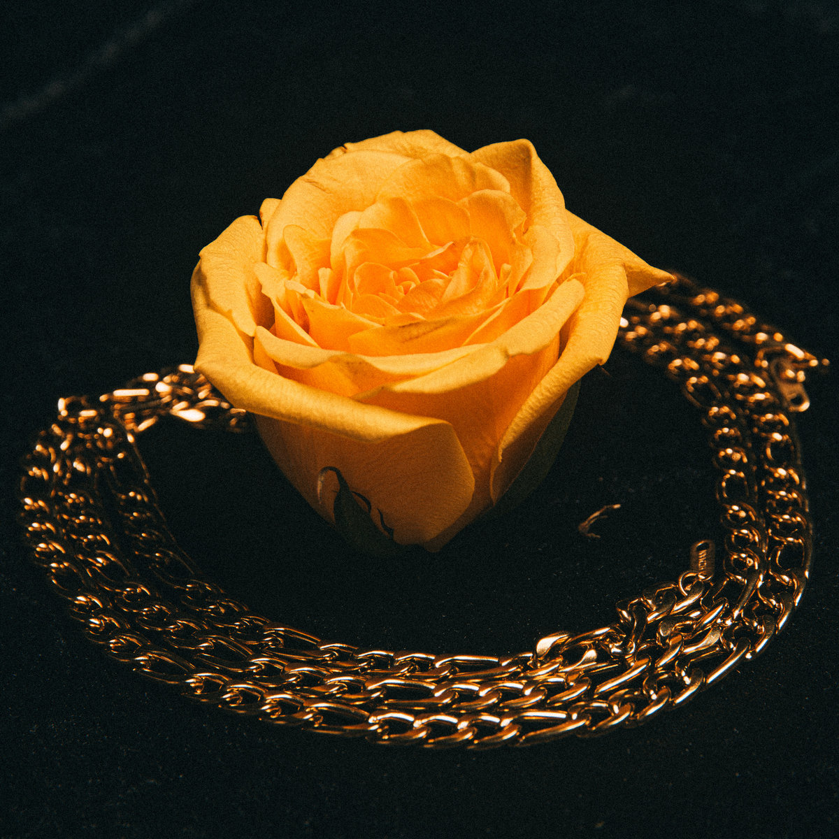 Atomic Rule - The Golden Rose - HeavyPop.at
